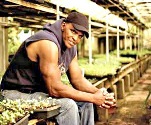 Milwaukee’s ‘Growing Power’ Continues to be a Positive, Innovative ...