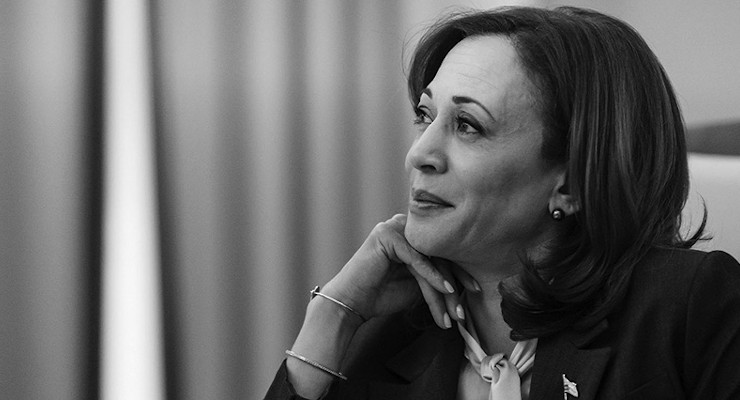 Vice President Harris Talks Debt Ceiling, Maternal Health, and Small ...